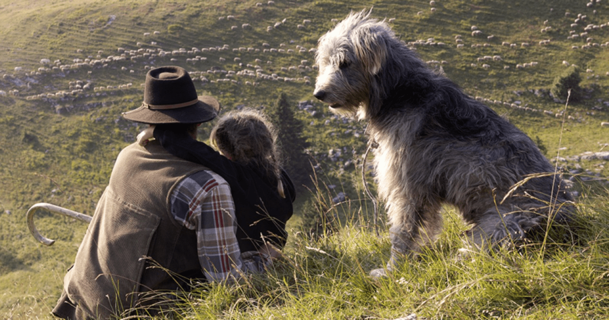 Vorführung des Dokumentarfilms „Lupo Uno“ - Naturmuseum Südtirol